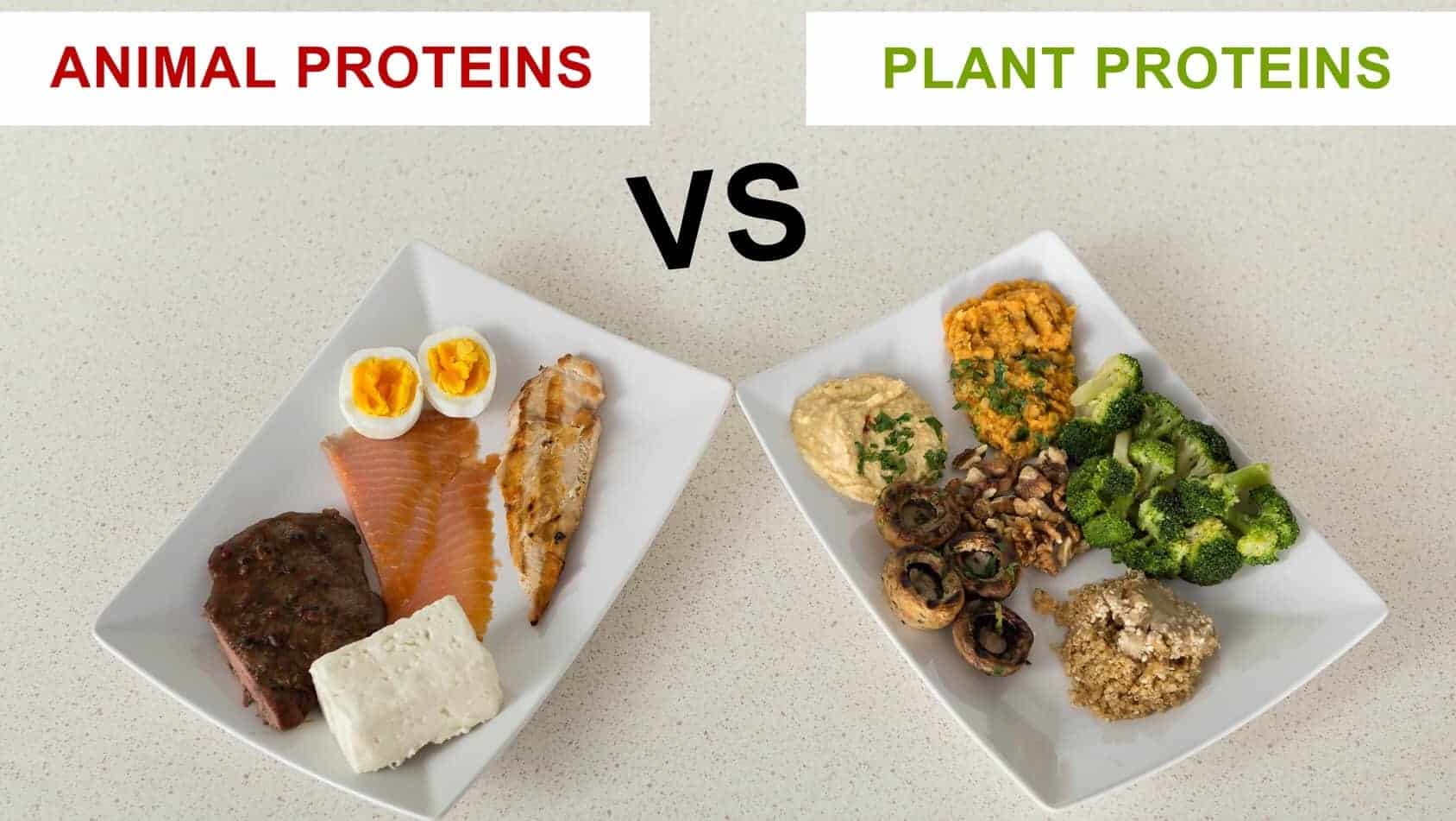 What is a safe way to get protein without animal meat?