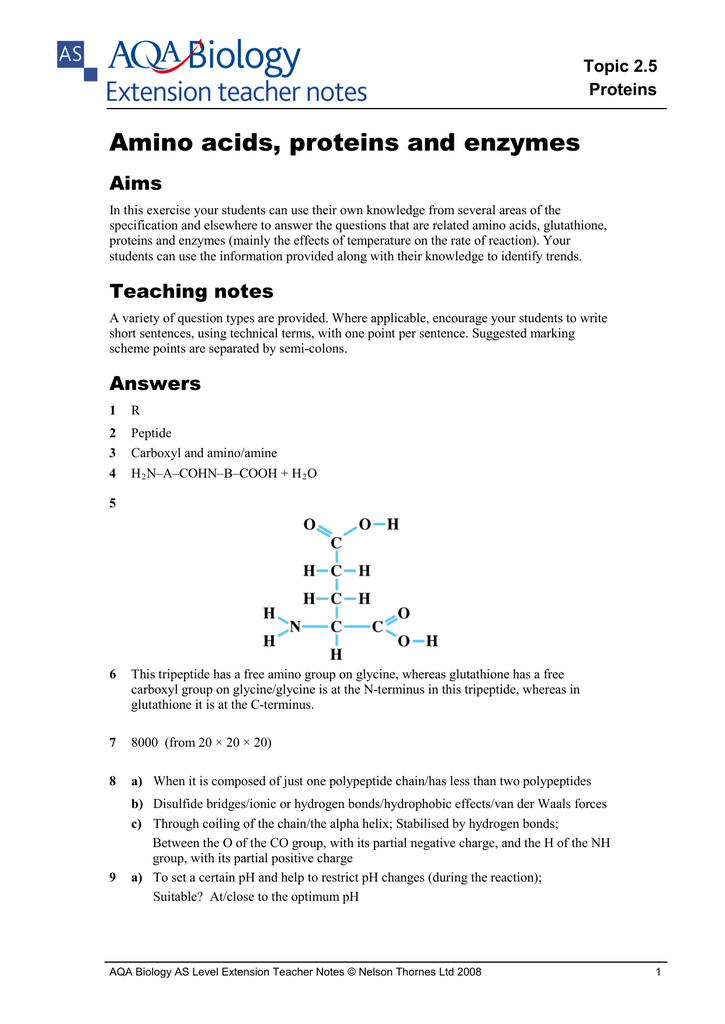 What is amino acid short answer?