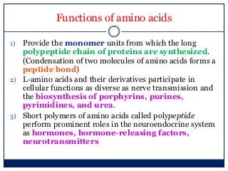 What is an amino acid and its function?