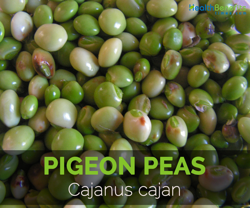 What is another name for pigeon pea?