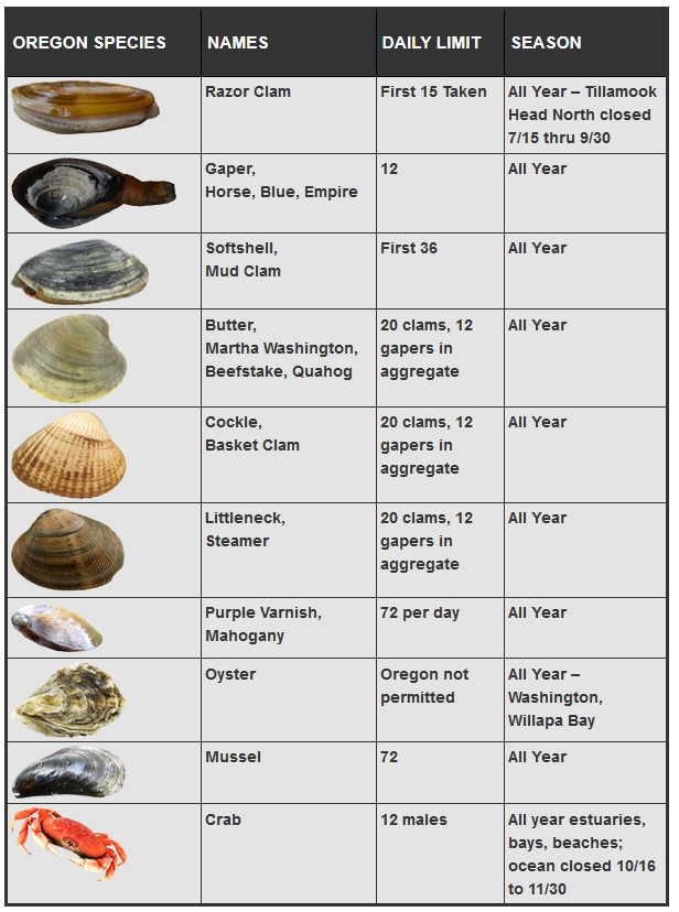 What is clamming season in Oregon?