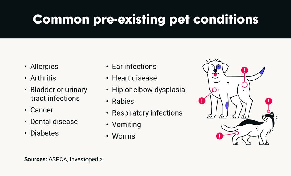 What is considered illness for pet insurance?