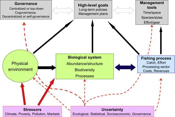 What is fisheries in simple words?