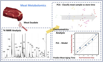 What is meat exudate?