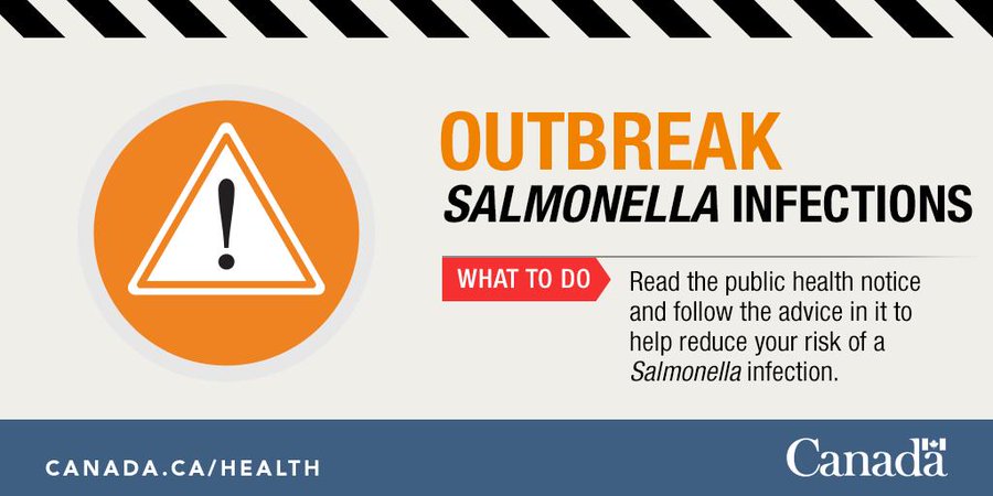 What is PHAC doing about the Salmonella outbreak in Canada?