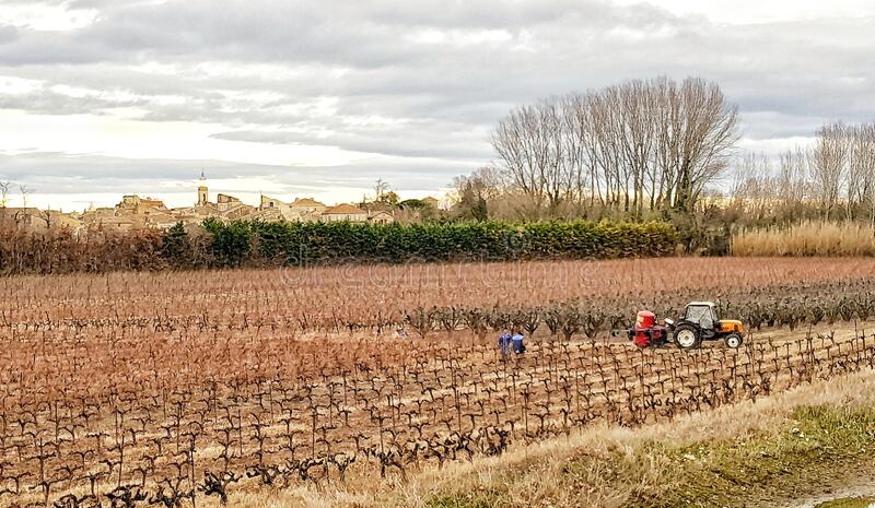What is produced in Occitanie?