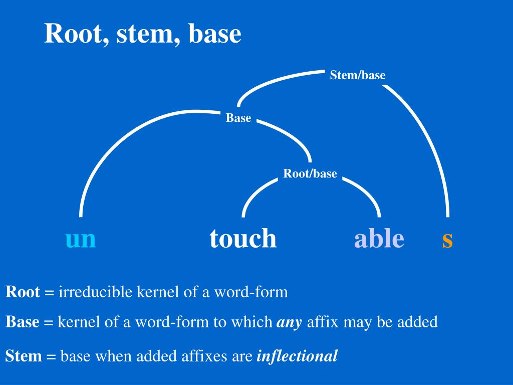 What is root and stem in linguistics?