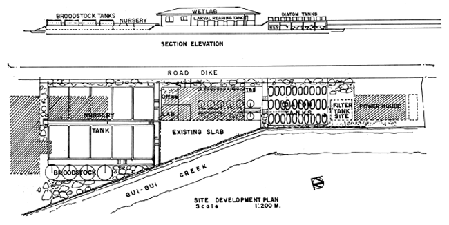 What is shrimp hatchery?