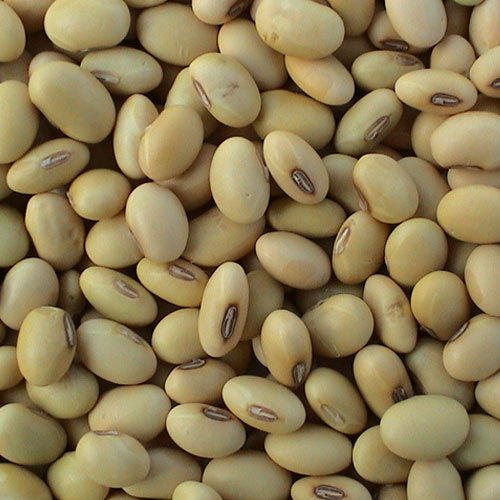 What is soy called in India?