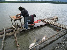 What is subsistence fishing in Alaska?