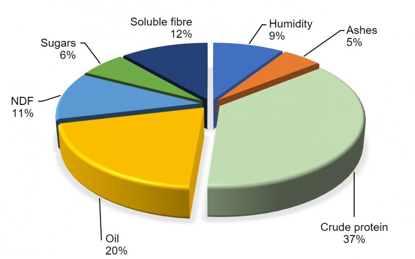 What is the amount of protein in soybean oil meal?