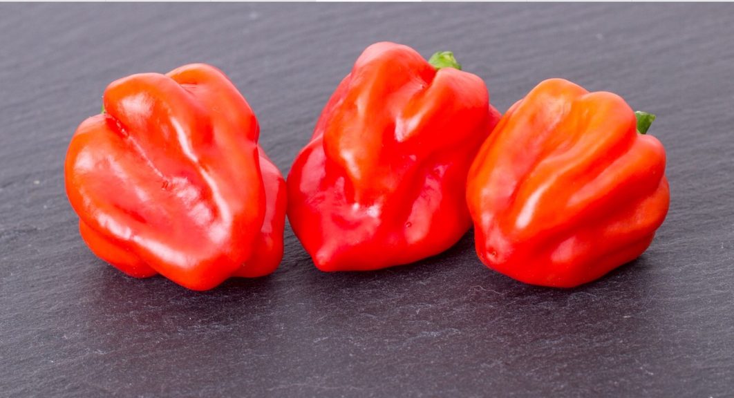 What is the benefit of Scotch bonnet pepper?