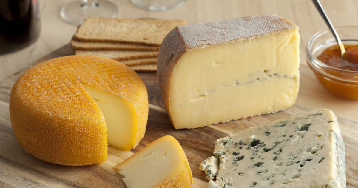 What is the best cheese for lactose intolerance?