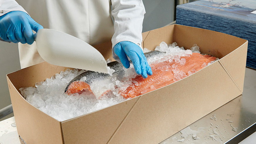What is the best packaging material for fish?