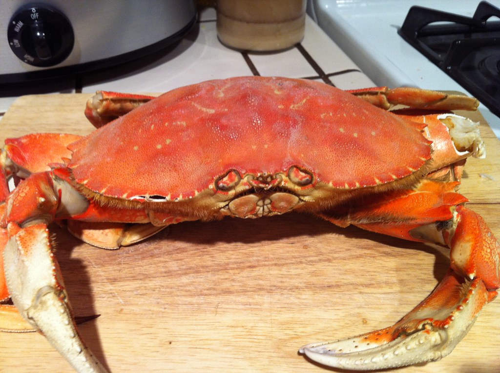 What is the best tasting crabs?