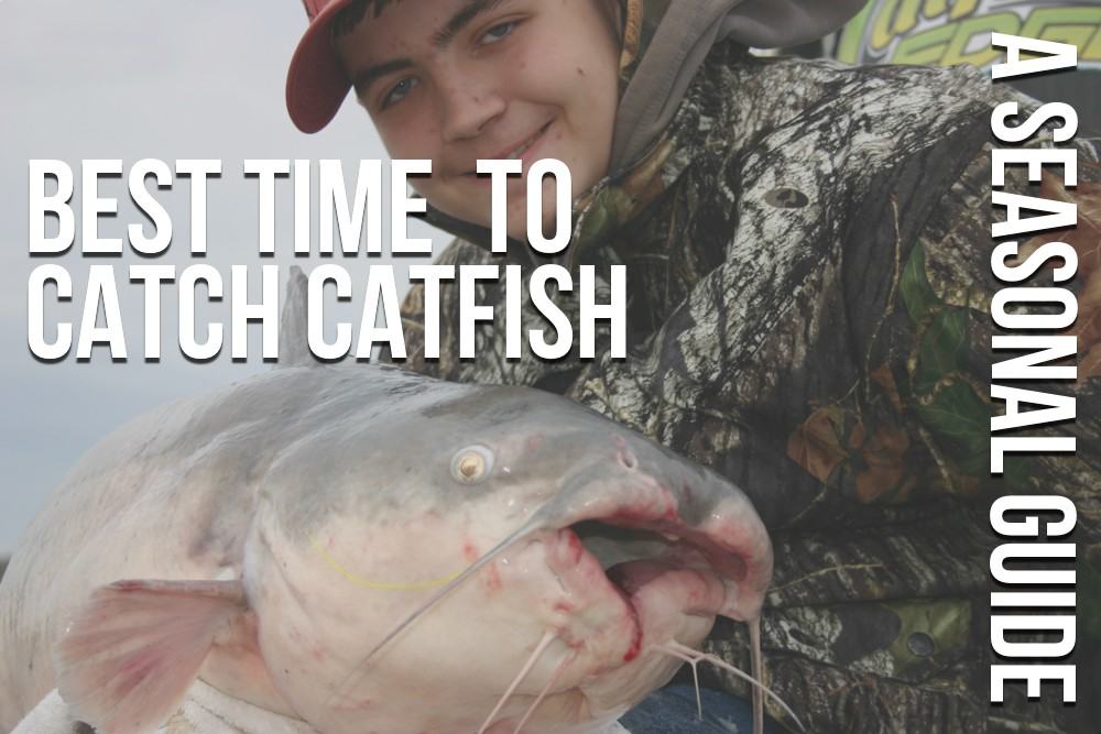 What is the best temperature for catfish to bite?
