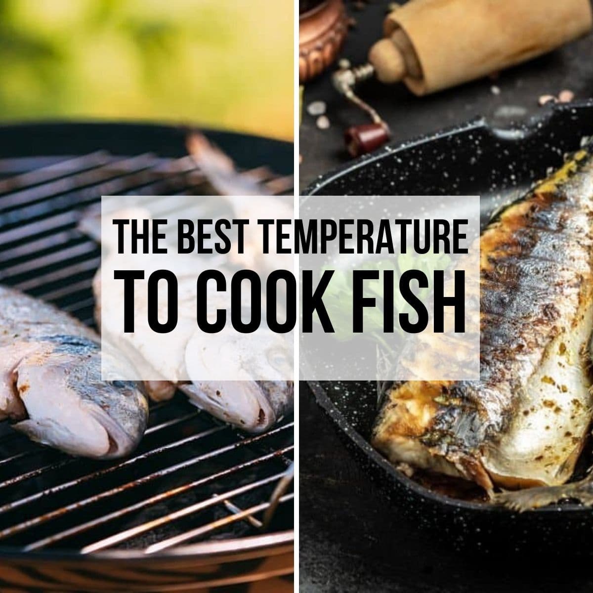 What is the best temperature to cook fish?