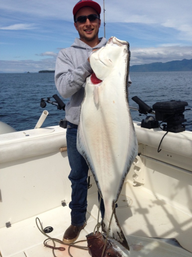 What is the best time to catch halibut?