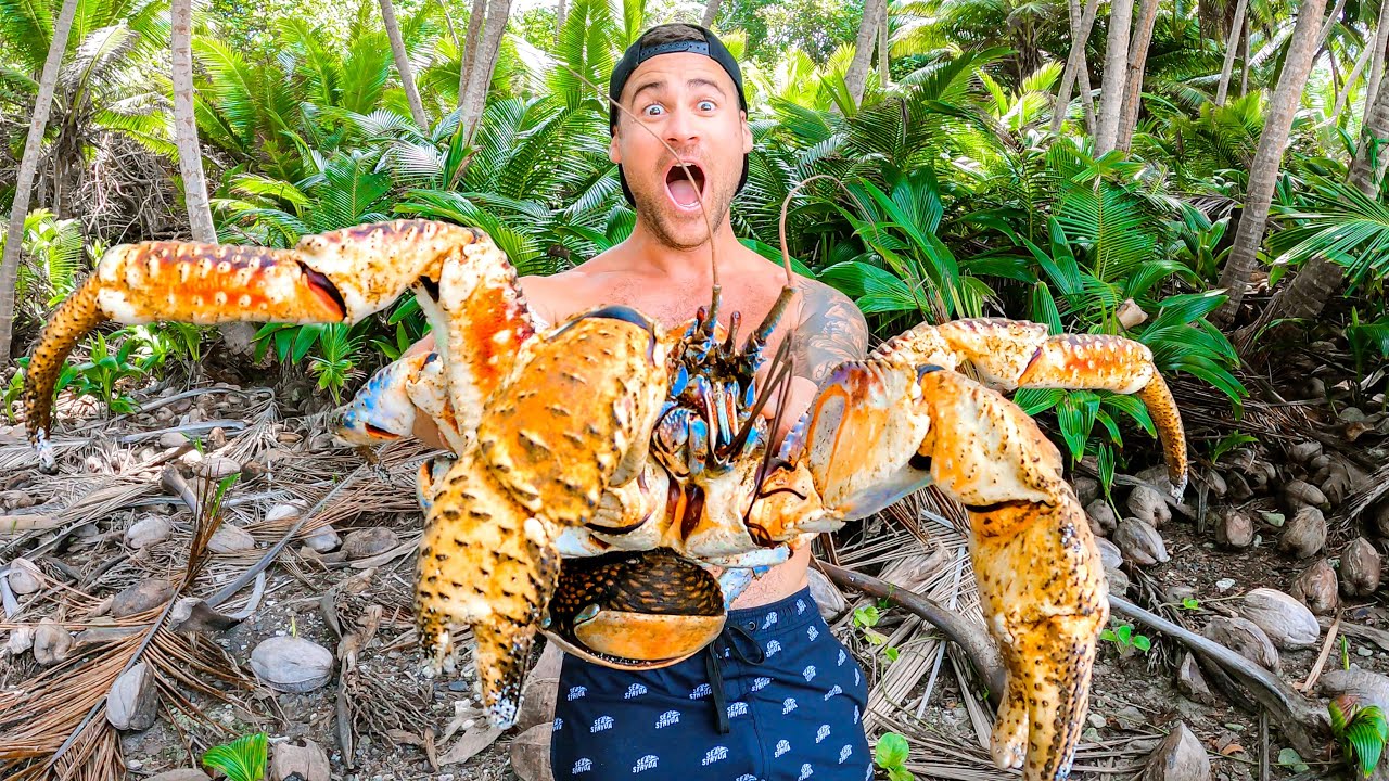 What is the biggest crab in the world you can eat?