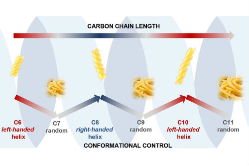 What is the chemistry of pasta?