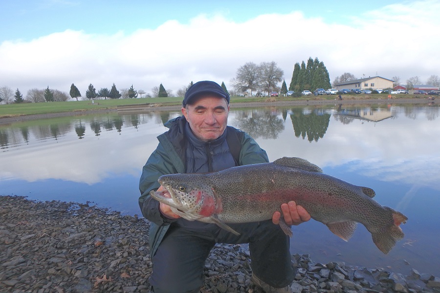 What is the daily limit for trout in Oregon?