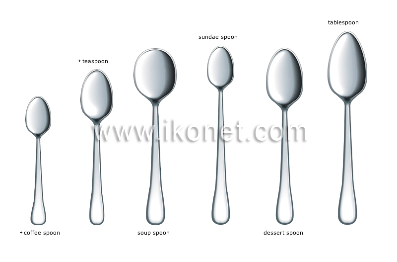 What is the difference between a spoon and a soup spoon?