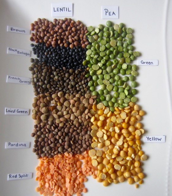 What is the difference between lentils and split peas?