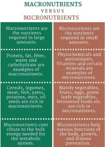 What is the difference between macronutrients and micronutrients give three examples of each?
