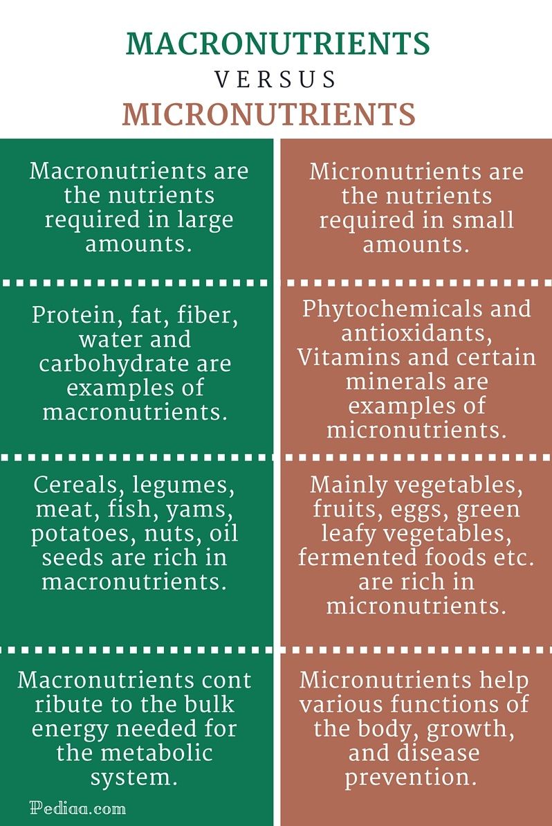 What is the difference between micro and micronutrients?