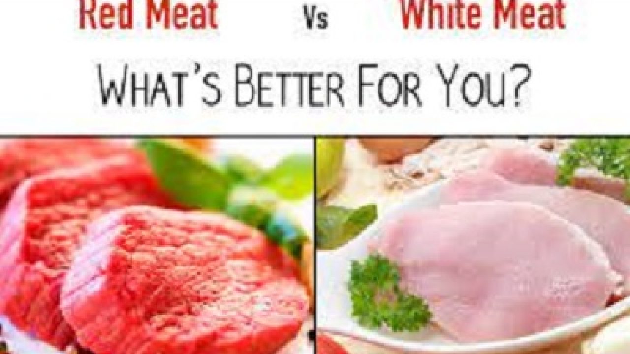 What is the difference between red and white meat?