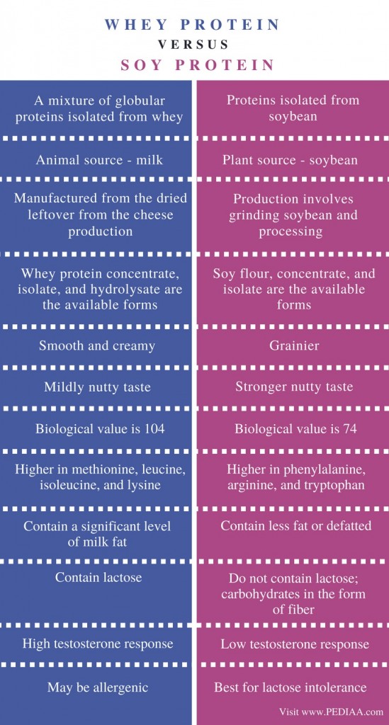 What is the difference between whey and soy protein powder?