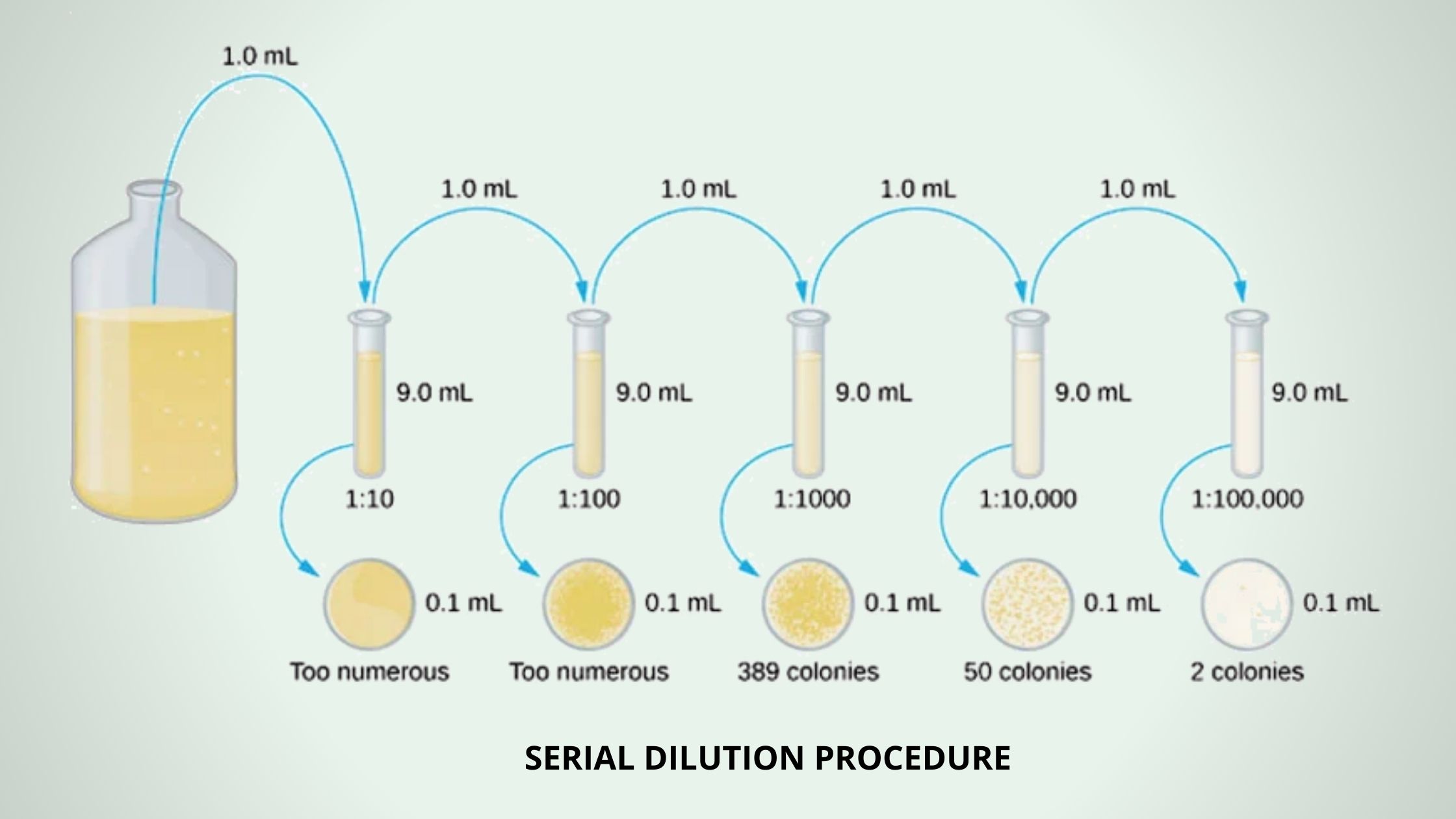 What is the dilution method?