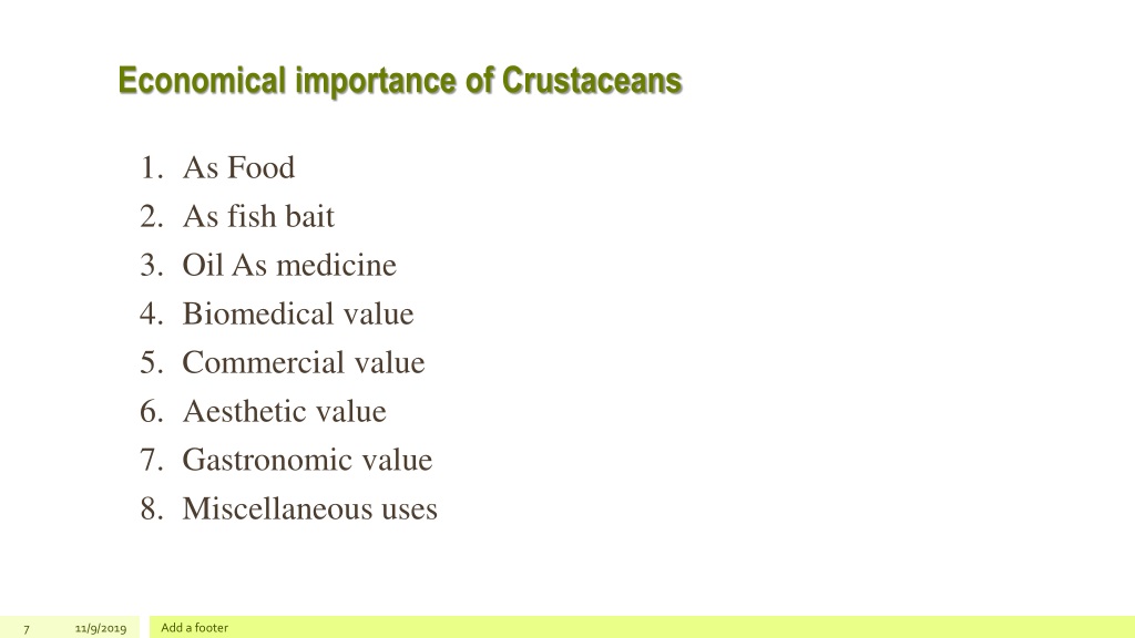What is the economic importance of crustaceans?