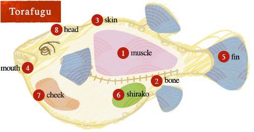 What is the edible part of a fish called?