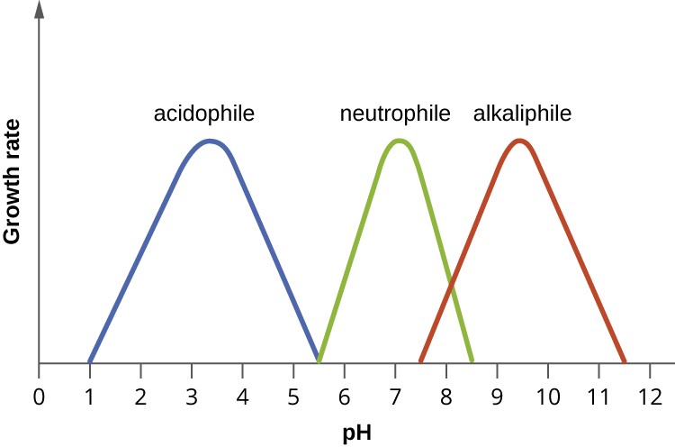 What is the effect of pH on microbial growth?