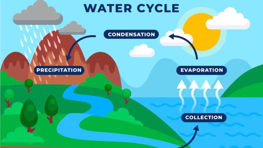 What is the fastest way to evaporate water?