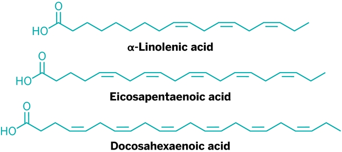What is the fish smell chemical?