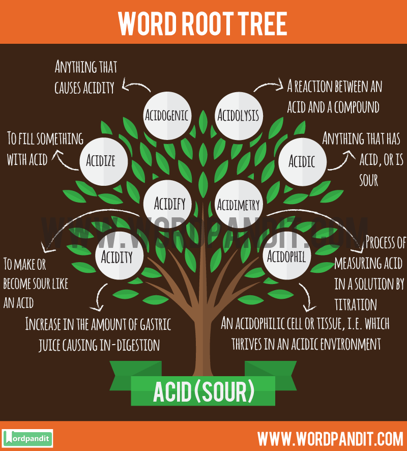 What is the Latin root word for sour?