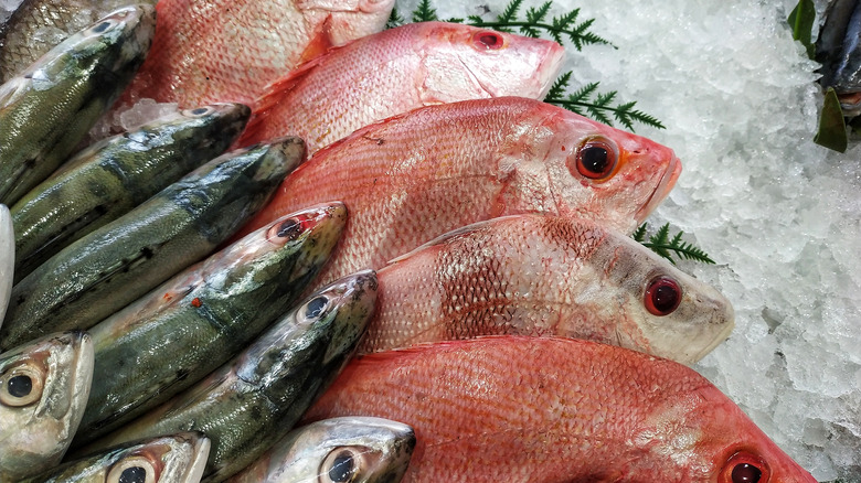 What is the least healthy fish?
