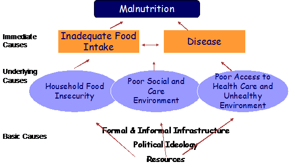 What is the main cause of malnutrition?