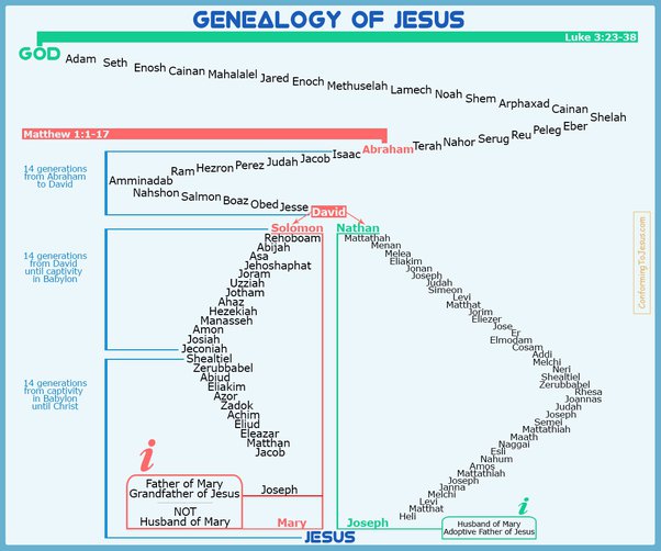 What is the main emphasis of Luke's genealogy?