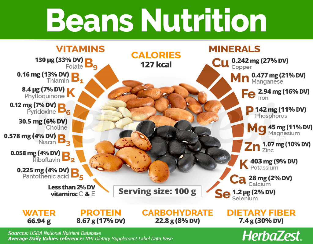 What is the main nutrient in beans?