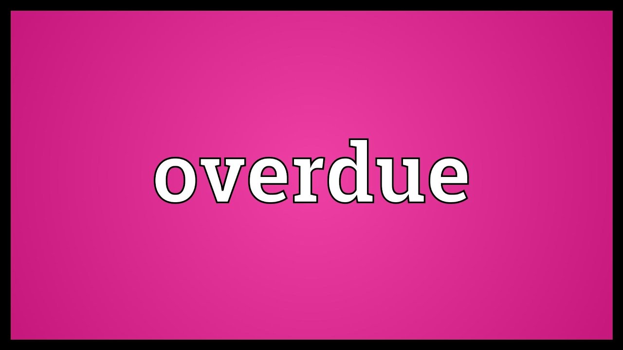 What is the meaning of payment overdue?
