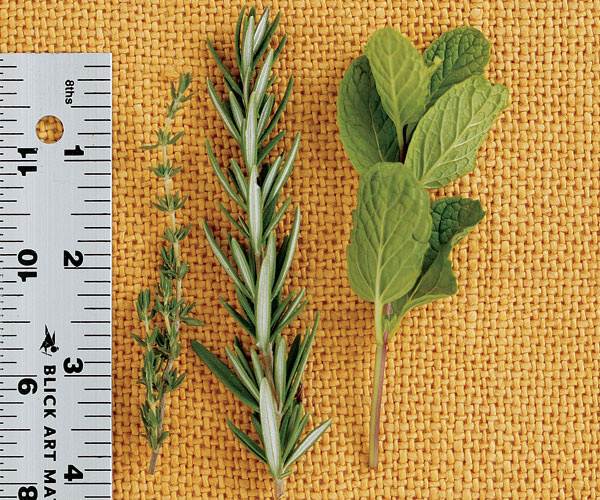 What is the measure of a sprig?