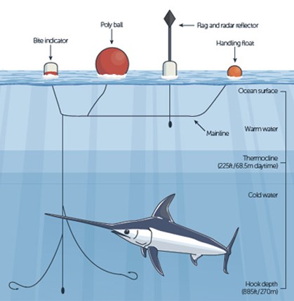 What is the most used fishing method to harvest seafood?