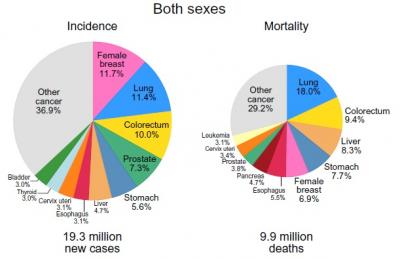 What is the number one leading cause of breast cancer?