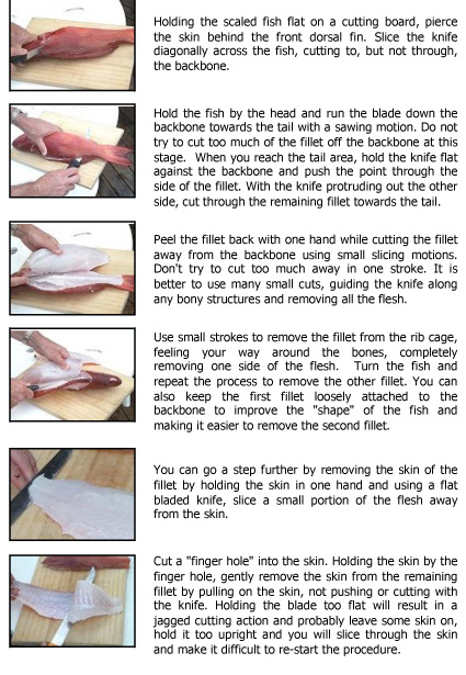 What is the process of filleting a fish?