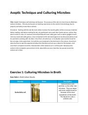 What is the purpose of broth in a microbiology laboratory?