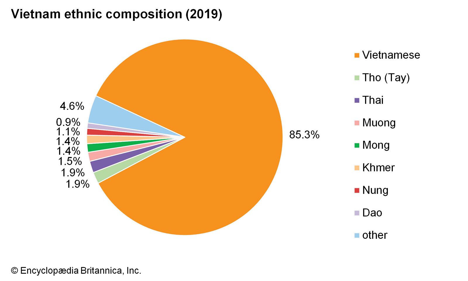 What is the race of Vietnamese?