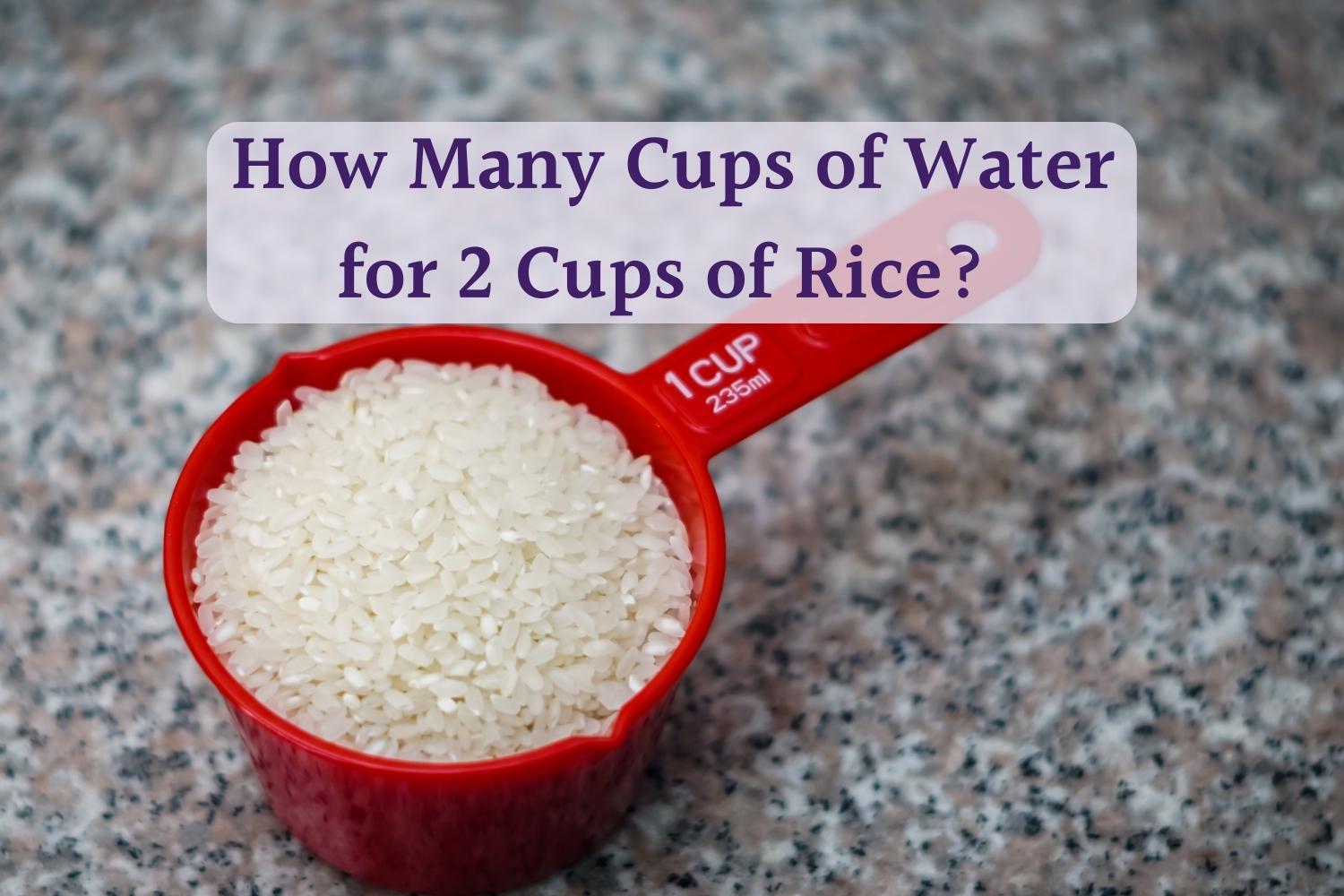 What is the ratio for 2 cups of rice?